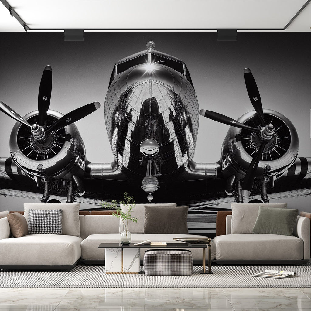 Airplane Mural Wallpaper | Aviation Motifs and Panoramics — WonderMural