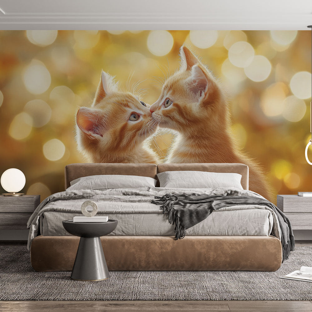 Mural Wallpaper kittens | Sweet feline encounter — WonderMural