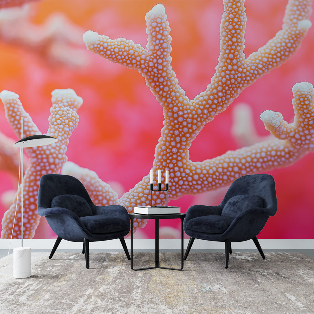 Mural Wallpaper coral | Coral design with soft and colorful shades ...