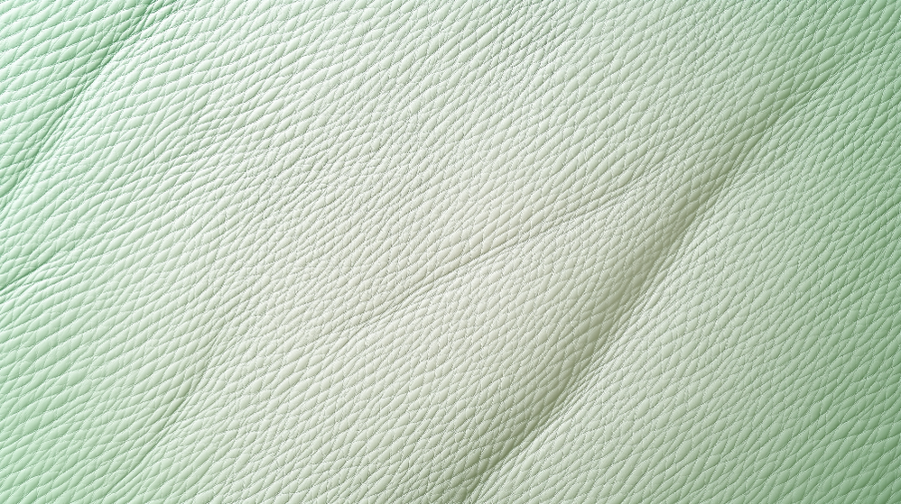 Leather Mural Wallpaper | Elegance and Luxury for Your Walls — WonderMural