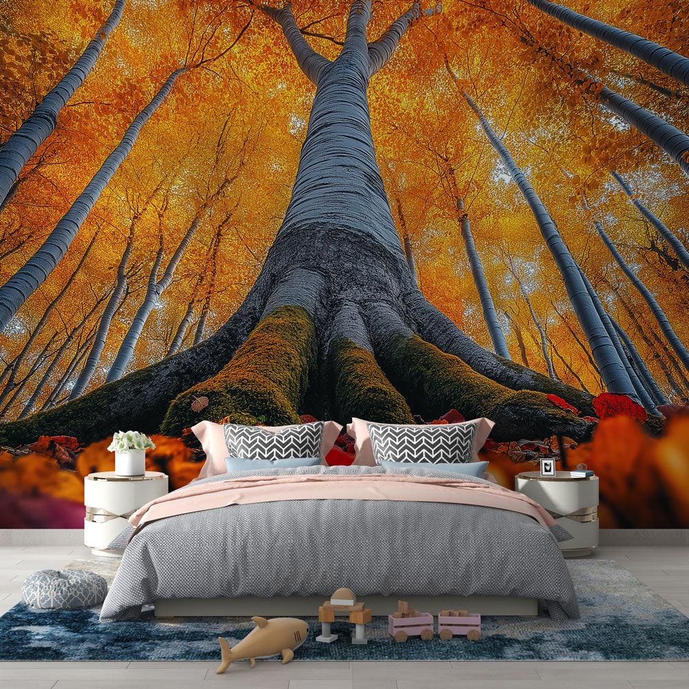 Mural Wallpaper autumn forest | Majestic trees with golden foliage ...