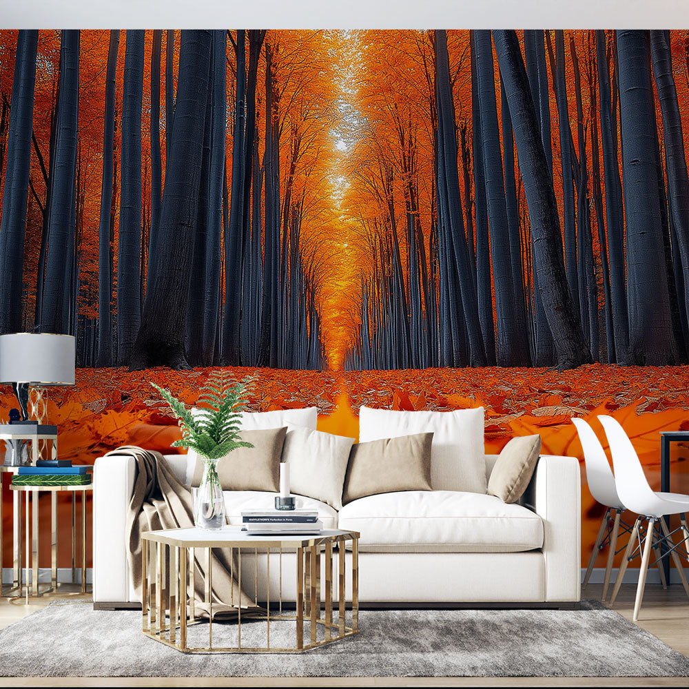 Mural Wallpaper autumn forest | Enchanted trail with blazing colors ...