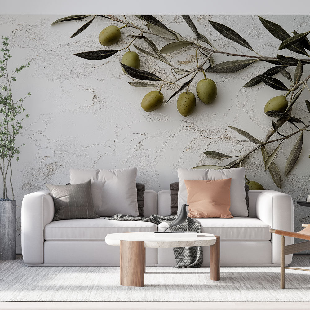Mural Wallpaper olive tree | Olive branches on white textured backgrou ...