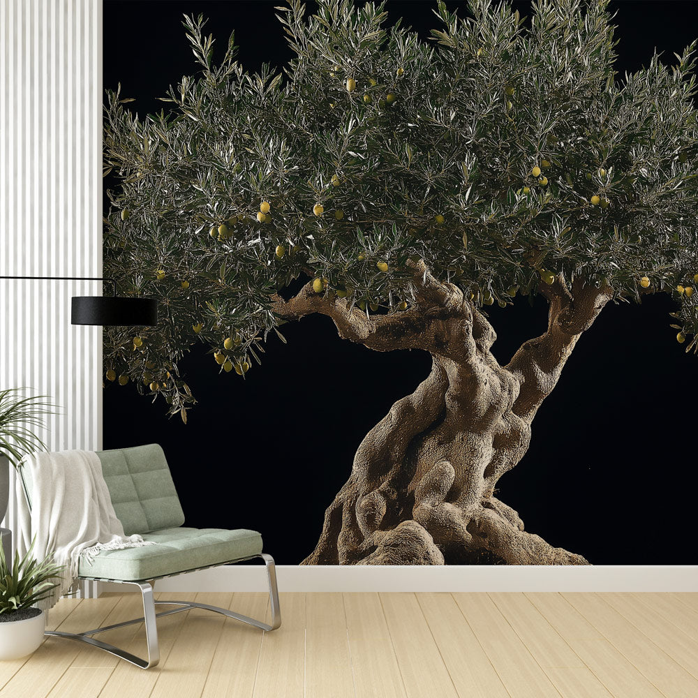 Mural Wallpaper olive-tree | Elegant olive tree bonsai with lush folia ...